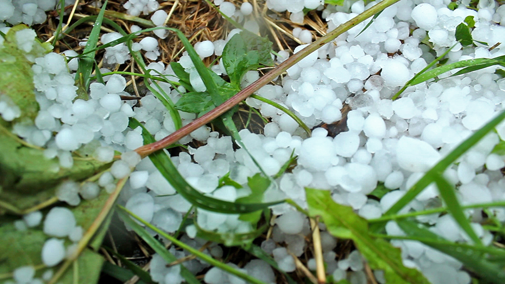 Tuča veličine graška pogodila velikogoričko i zagrebačko područje ...