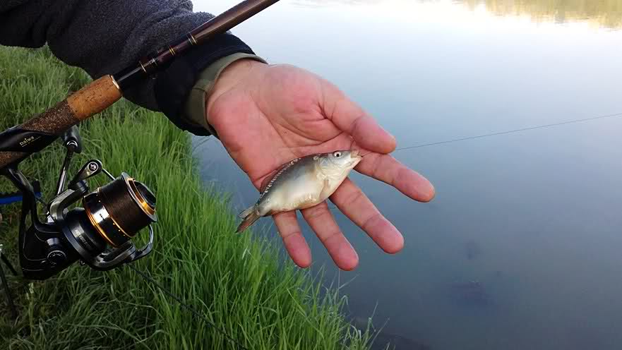 FOTO Tko je prvak, a tko 'najbogec' Ribomanije? Profesionalci lovili ...