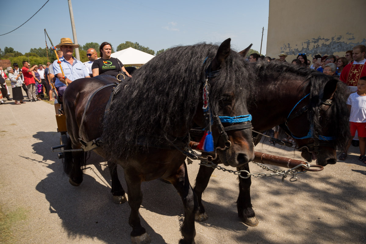 FOTO Obilježen Dan Općine Orle - Kronike Velike Gorice